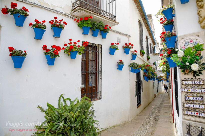 Cosa vedere in Andalusia | viaggiaconalice.it